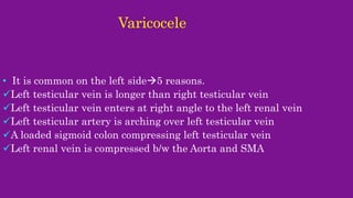 Scrotal swellings 4- varicocele | PPTX