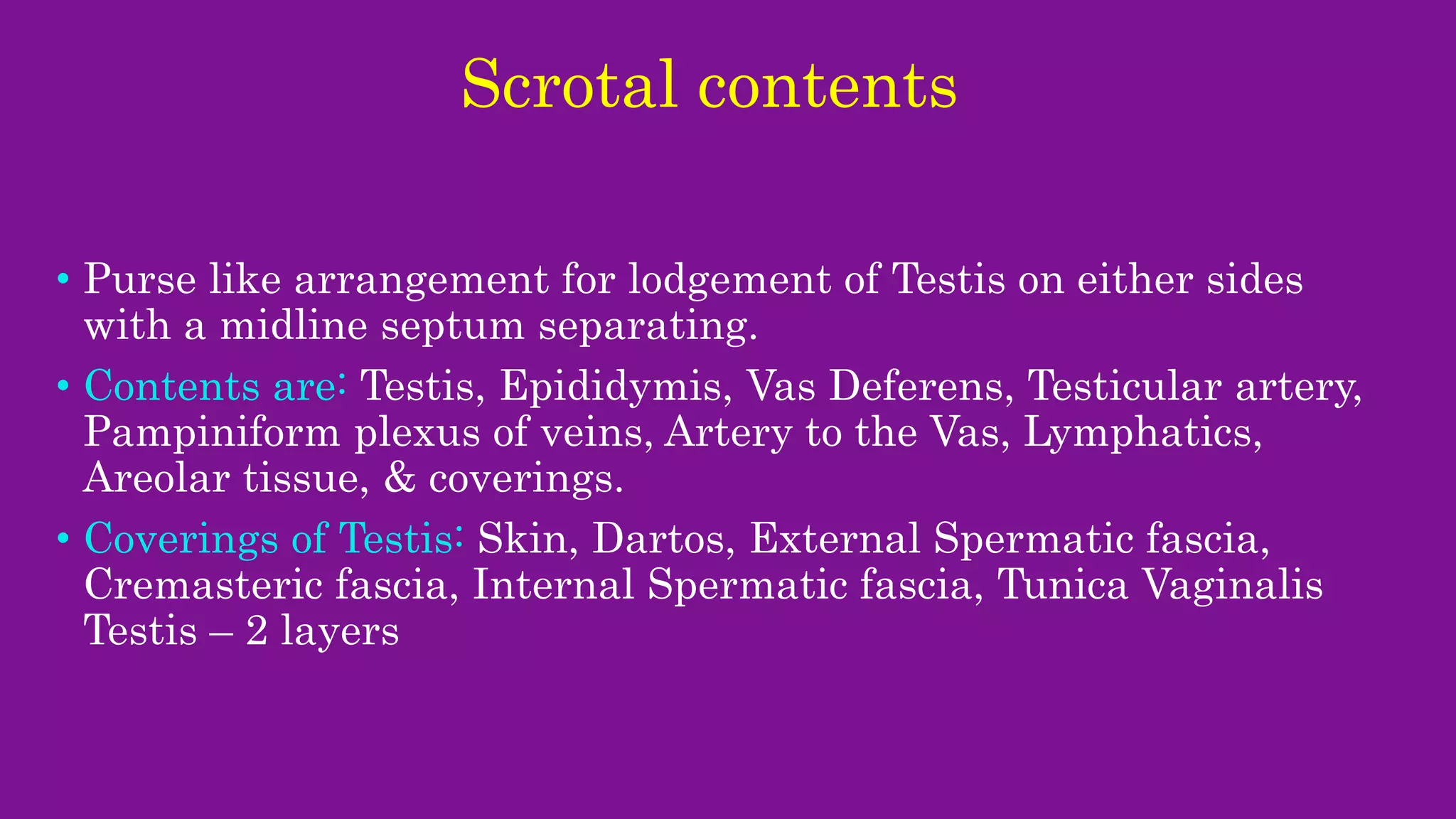 Scrotal swellings introduction | PPTX