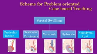 Scrotal swellings introduction | PPTX