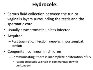 Scrotal testicular ultrasound odu Uganda | PPT