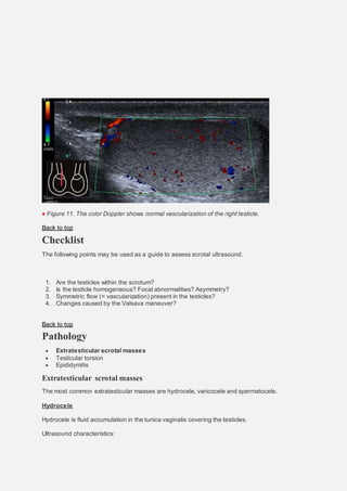 Scrotal ultrasound | DOCX