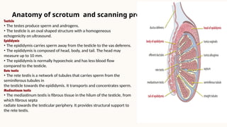Scrotal ultrasound- By Dr Nishant Mishra .pptx