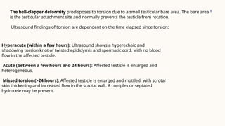 Scrotal ultrasound- By Dr Nishant Mishra .pptx