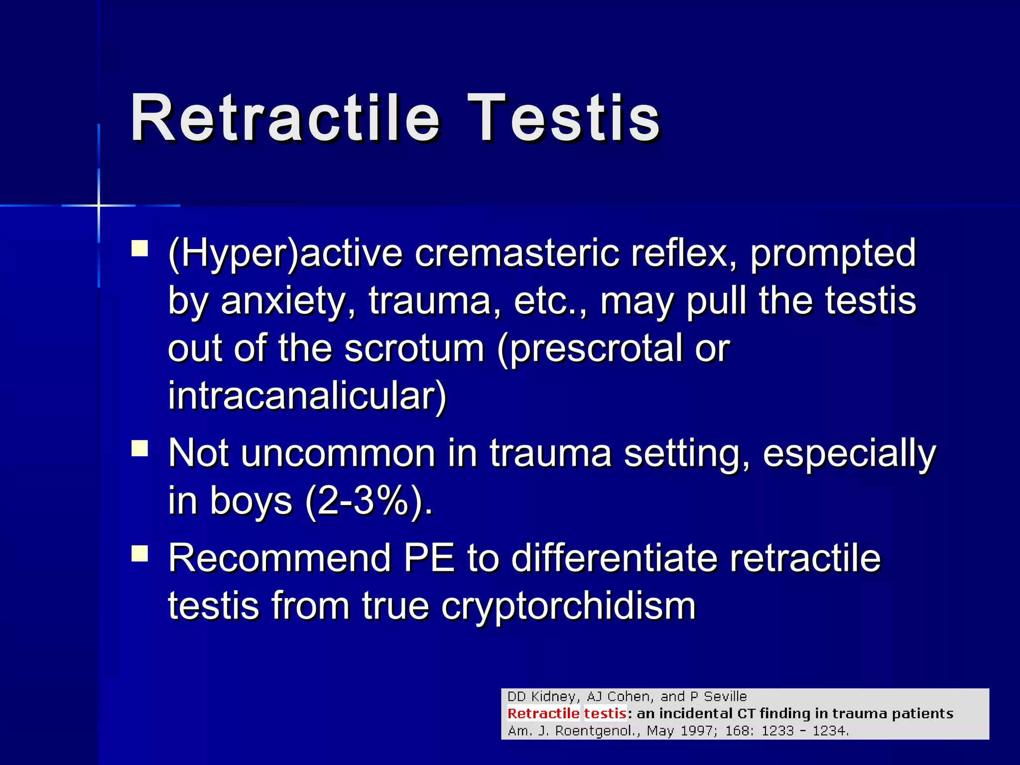 Imaging of the scrotum | PPT