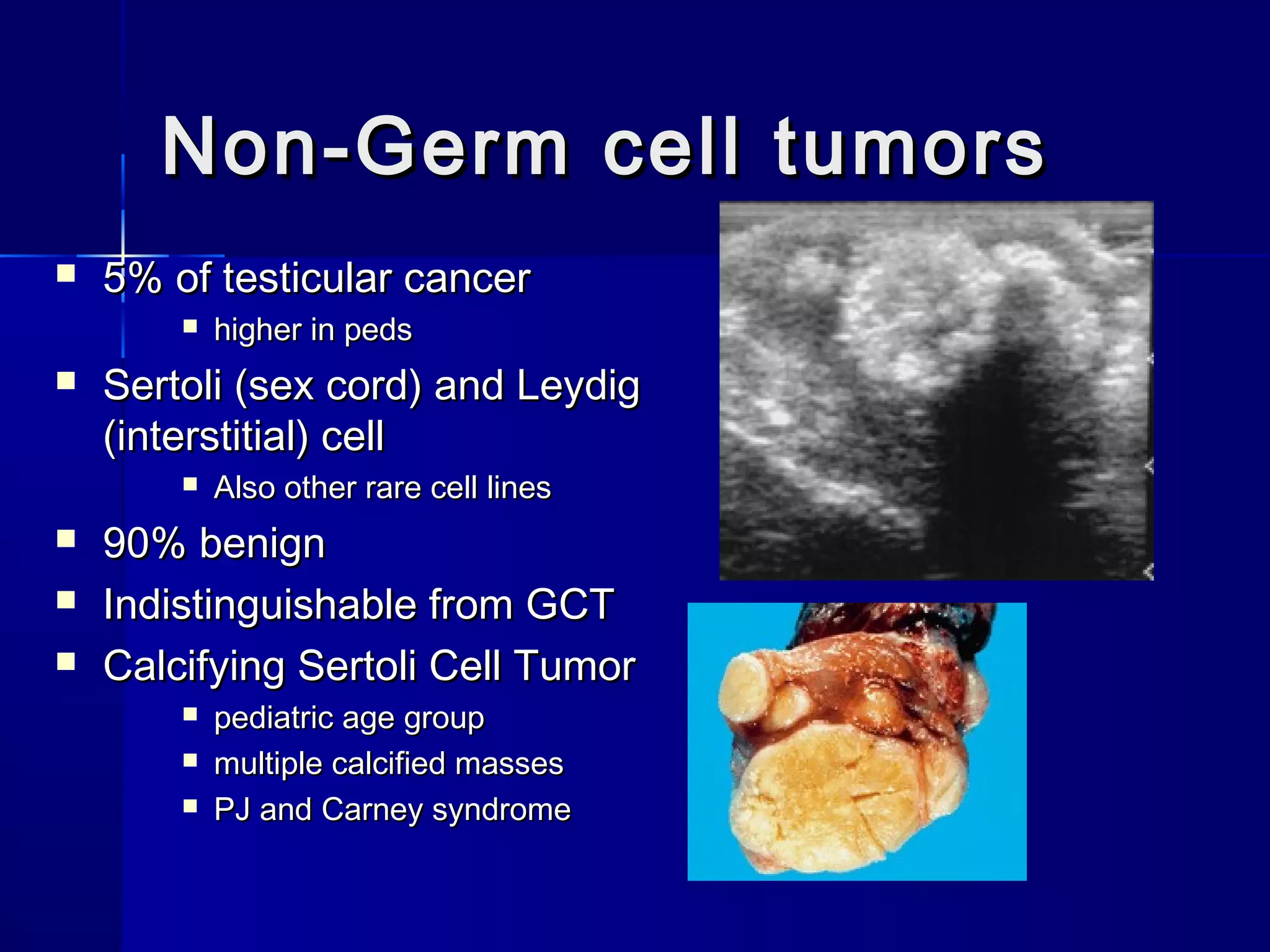 Imaging of the scrotum | PPT | Infertility | Reproductive Health