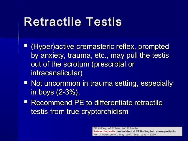 Imaging of the scrotum