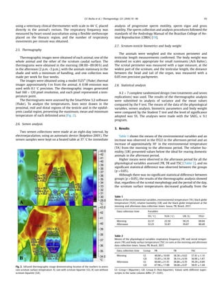 Scrotum bipartite in sheep theriogenology (1) | PDF
