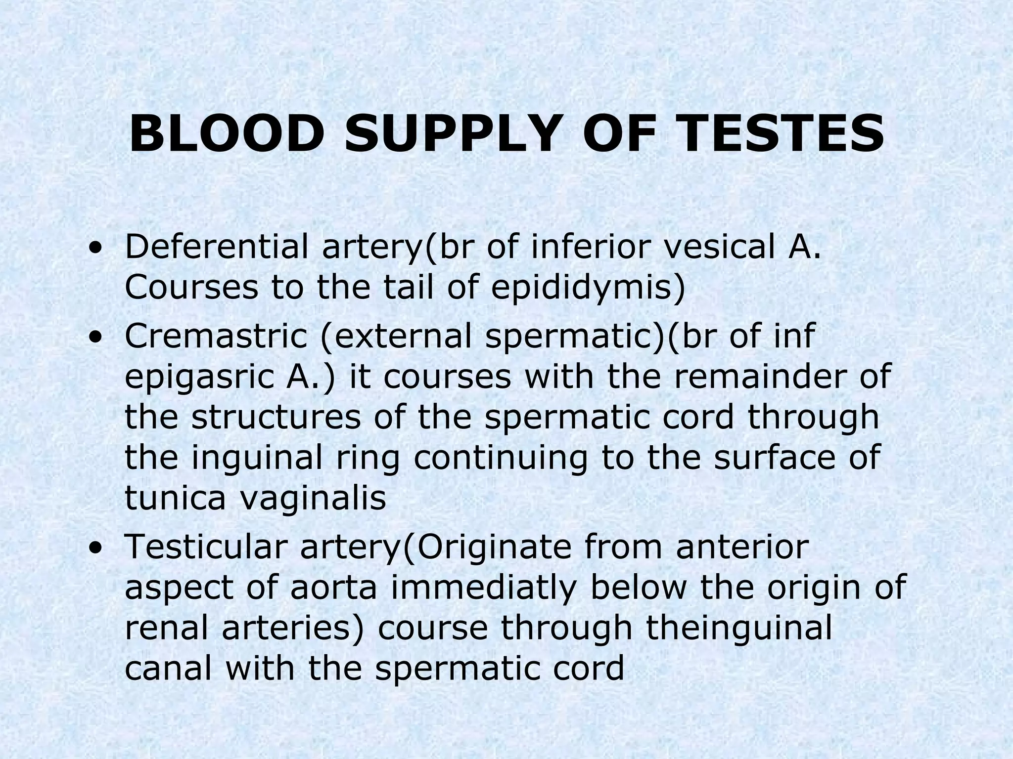 Scrotum imaging | PPT