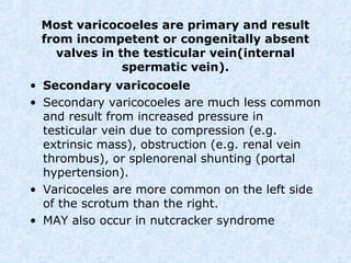 Scrotum imaging | PPT