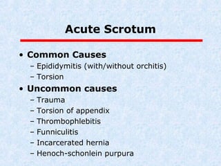 Scrotum imaging | PPT