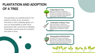 Social responsibility basic introduction.pdf