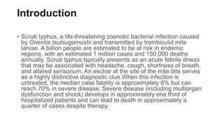 scrub typhus.pptx