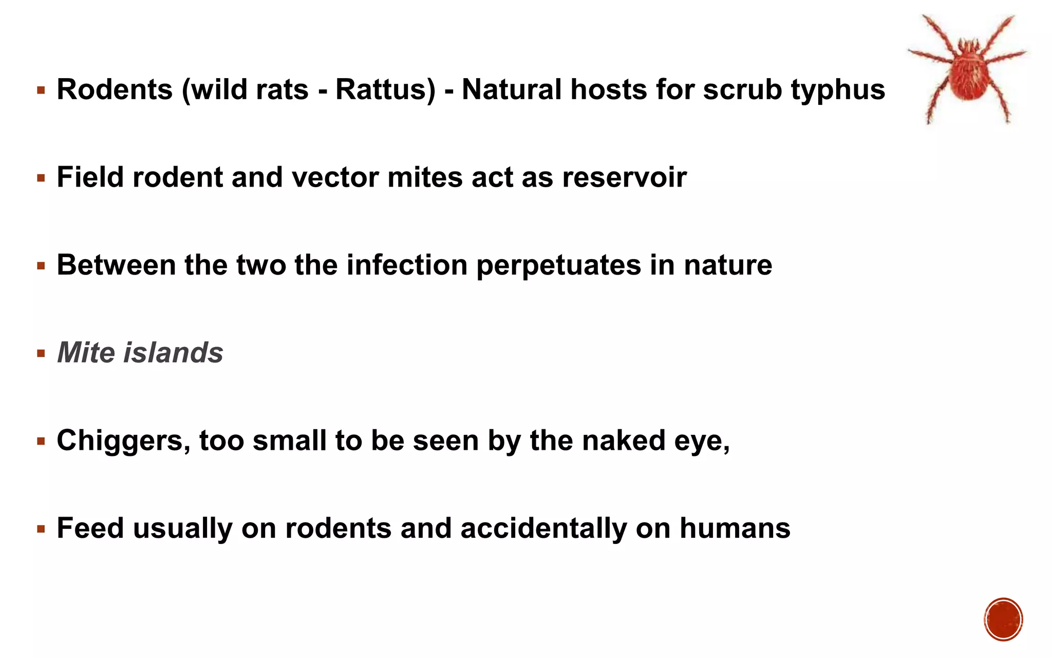 Scrub typhus | PPTX