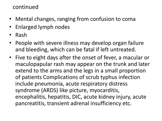 Scrub typhus | PPT