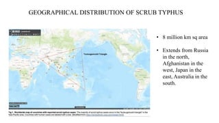 Scrub typhus in India | PPT
