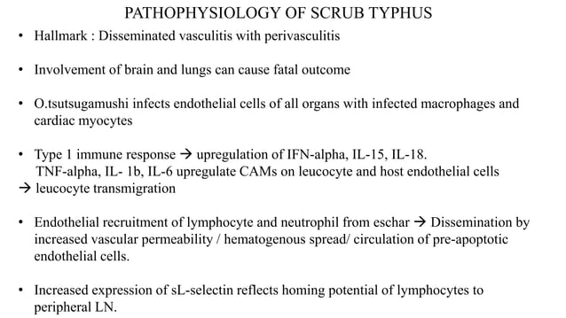 Scrub typhus in India | PPT