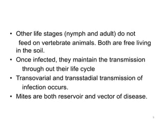 Scrub typhus | PPTX