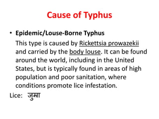 Scrub typhus | PPTX