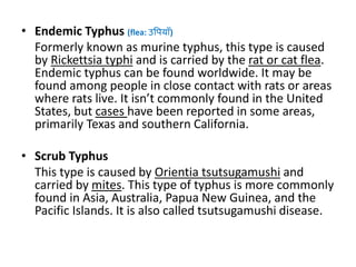 Scrub typhus | PPTX