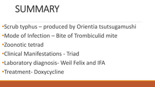 Scrub typhus | PPT
