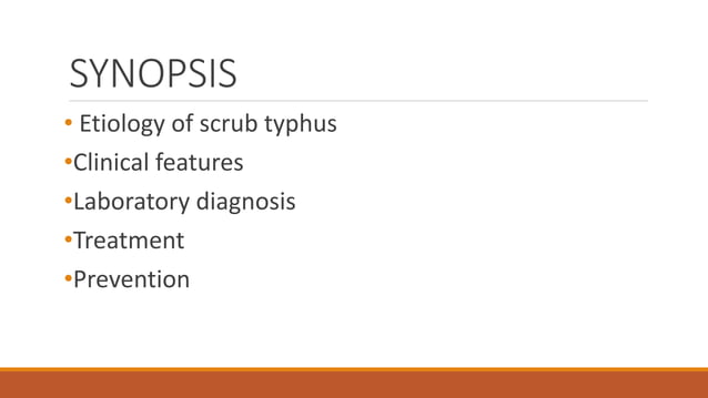 Scrub typhus | PPT
