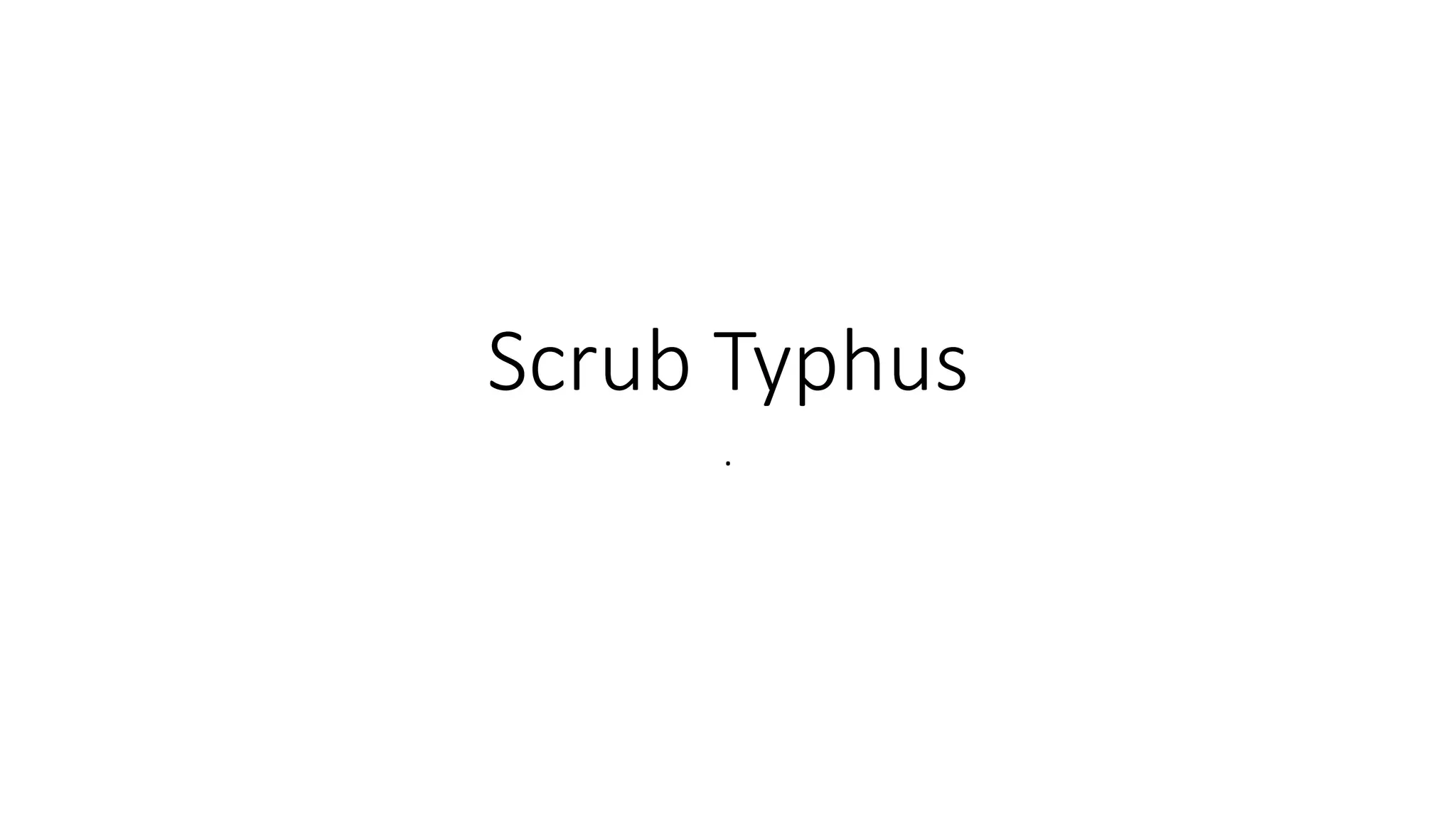 Scrub Typhus.pptx