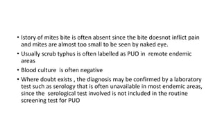 Scrub Typhus.pptx