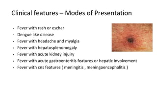 Scrub typhus PowerPoint presentation for ug students | PPT