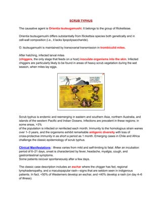 Scrub Typhus - Clinical Features & Management.pdf