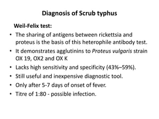 scrub Typhus- Dr. Mausumi saha.ppt | Infectious Diseases | Diseases and ...