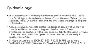 Scrub typhus approach , investigations and management | PPTX