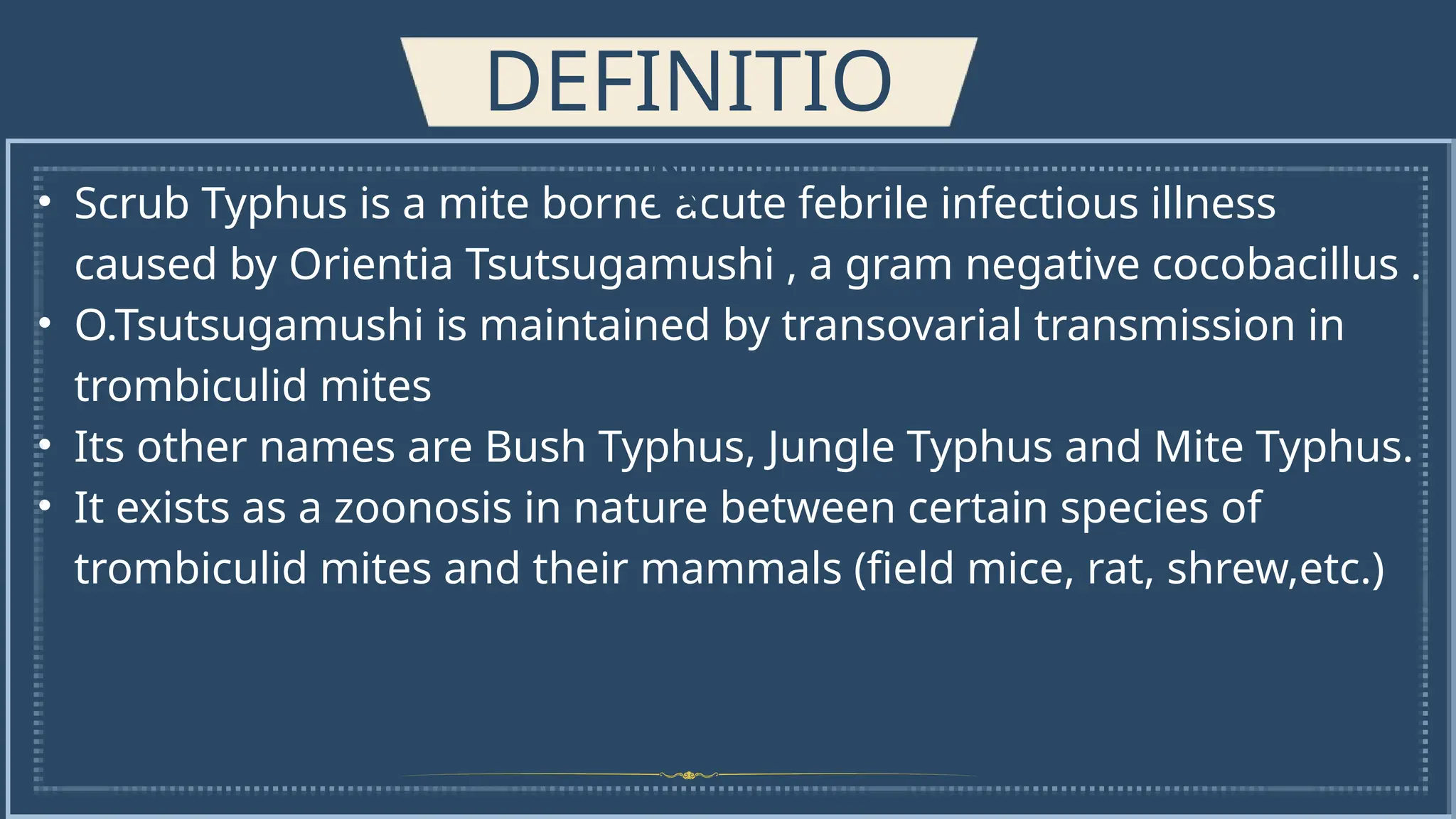 Scrub Typhus (CHN)_20240825_092347_0000.pptx
