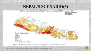 Scrub typhus prakash pathak | PPT