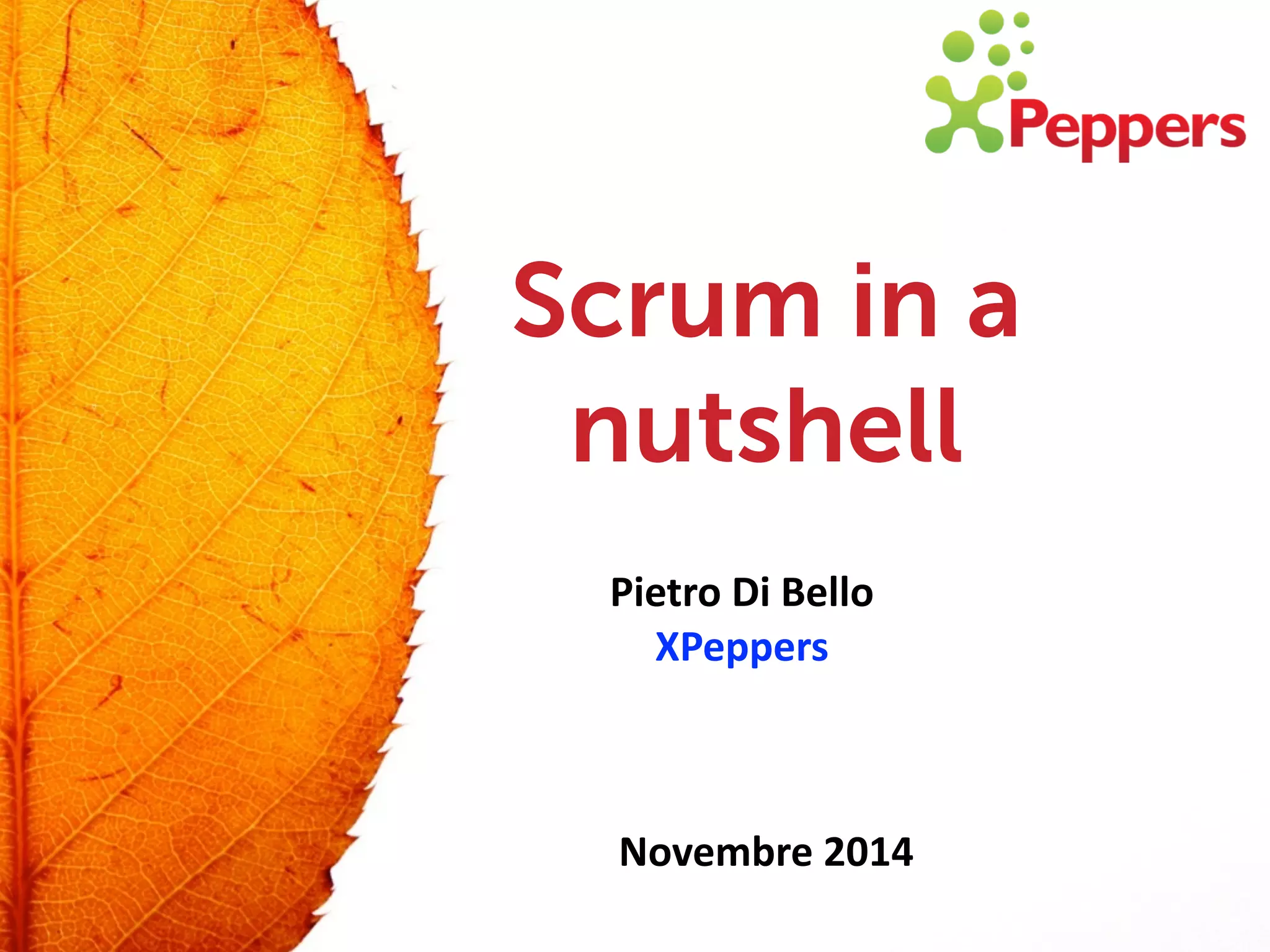 Scrum In A Nutshell | PPT