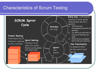 Scrum Testing Methodology | PPT