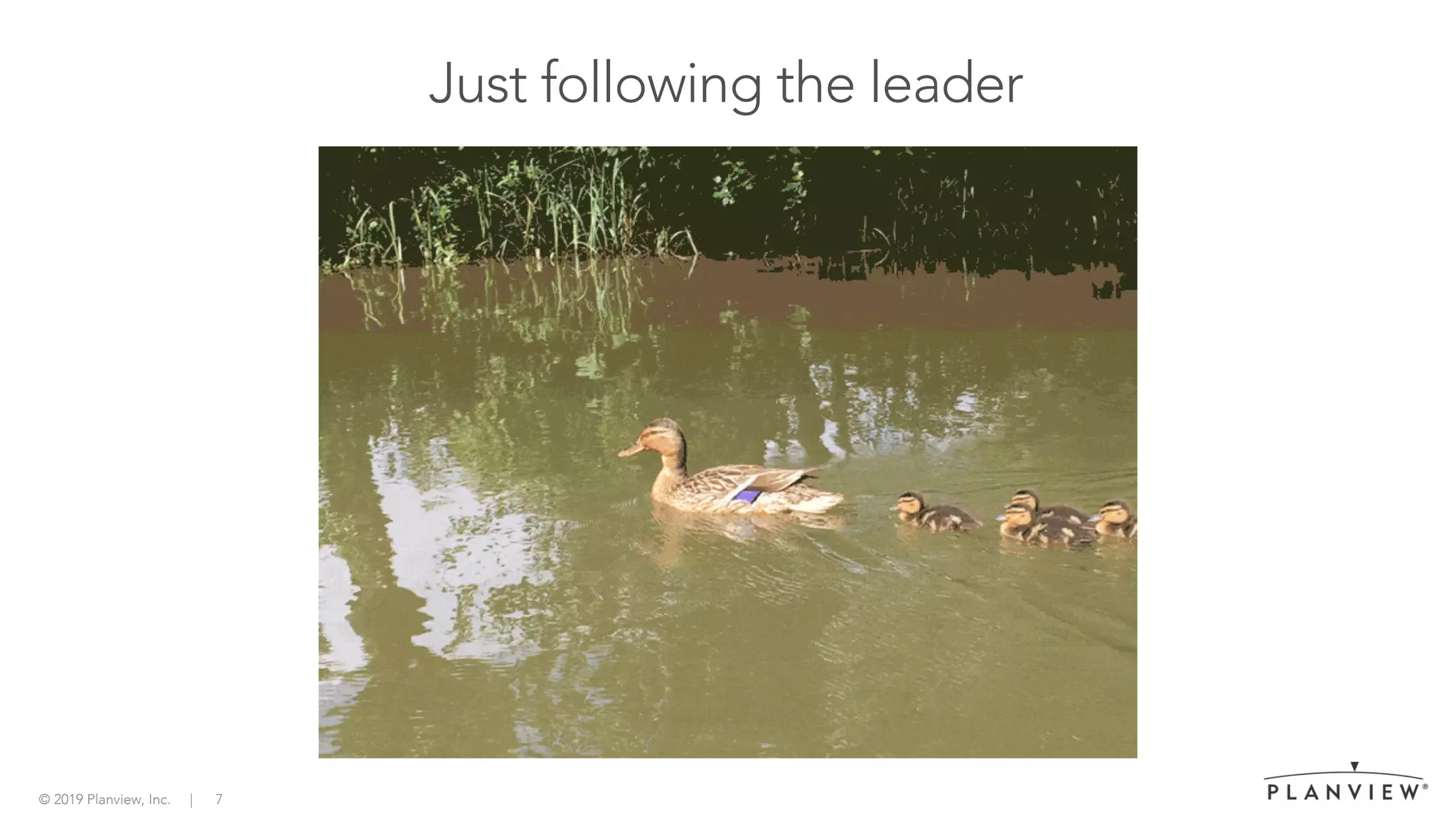 Scrumagilean - An introduction to Lean Principles for Continuous Improvement | PPT