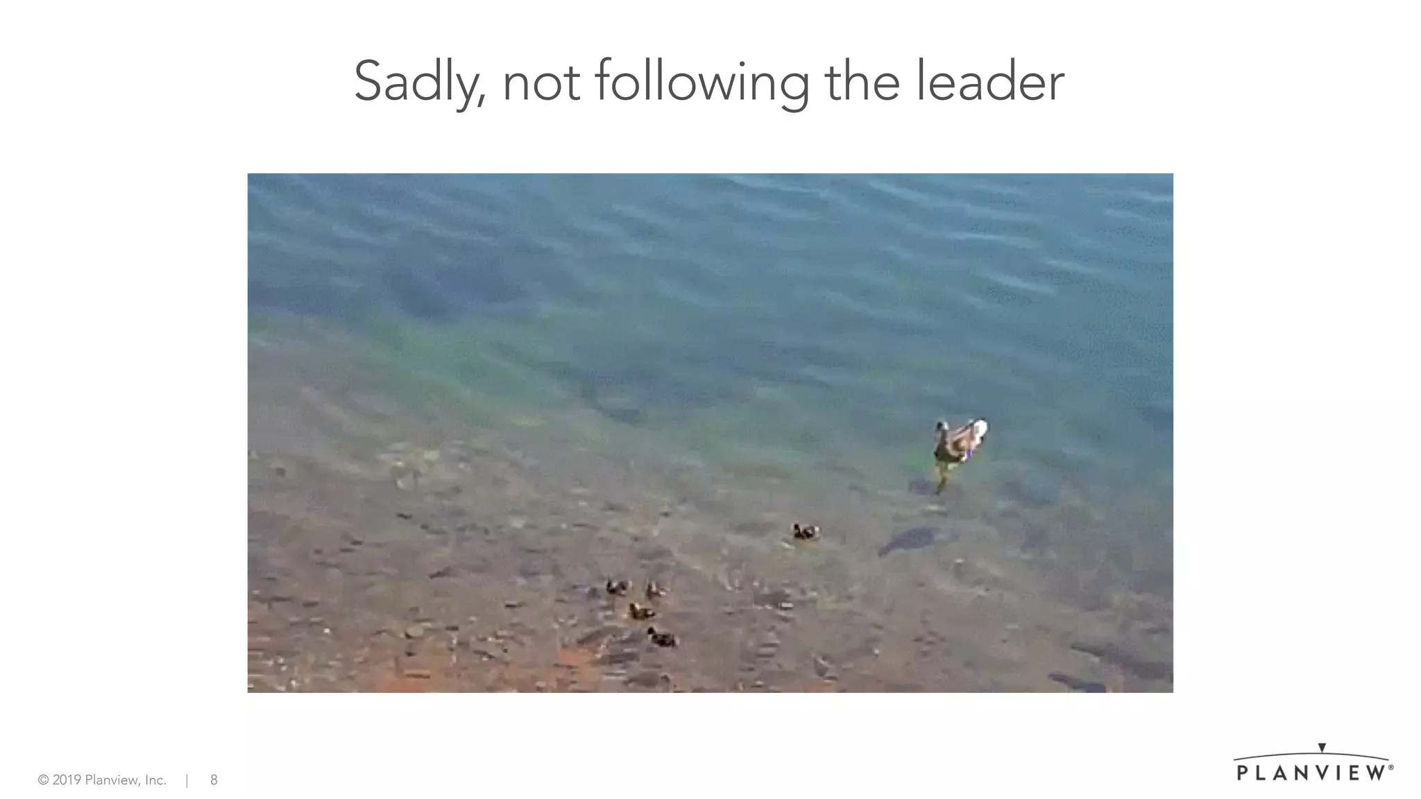 Scrumagilean - An introduction to Lean Principles for Continuous Improvement | PPT