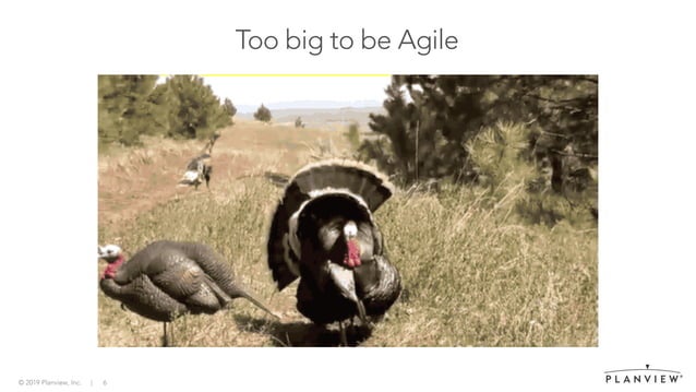 Scrumagilean - An introduction to Lean Principles for Continuous Improvement | PPT