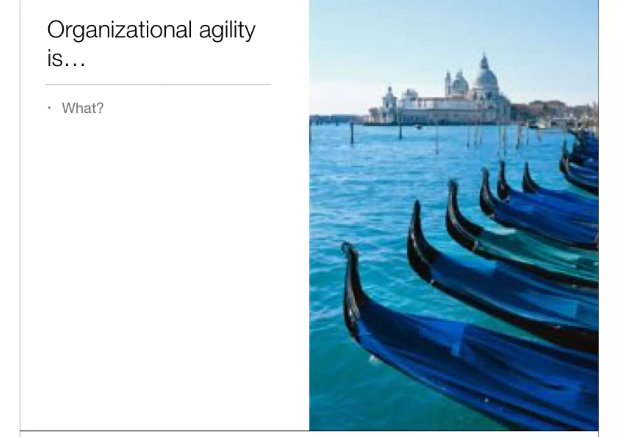 John Coleman. What is Broad & Deep Agility | PDF