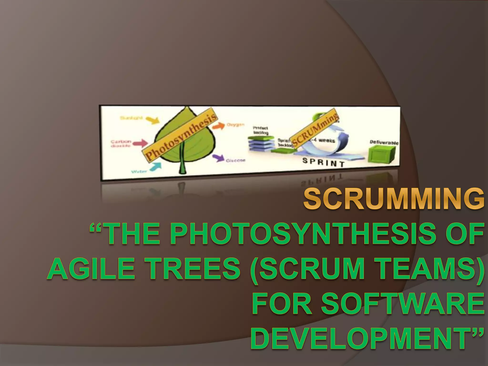SCRUMming “The Photosynthesis of Agile TREES (SCRUM Teams) for Software ...