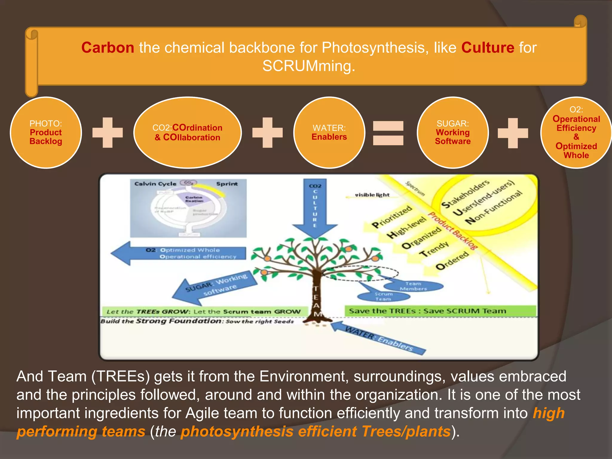 SCRUMming “The Photosynthesis of Agile TREES (SCRUM Teams) for Software ...