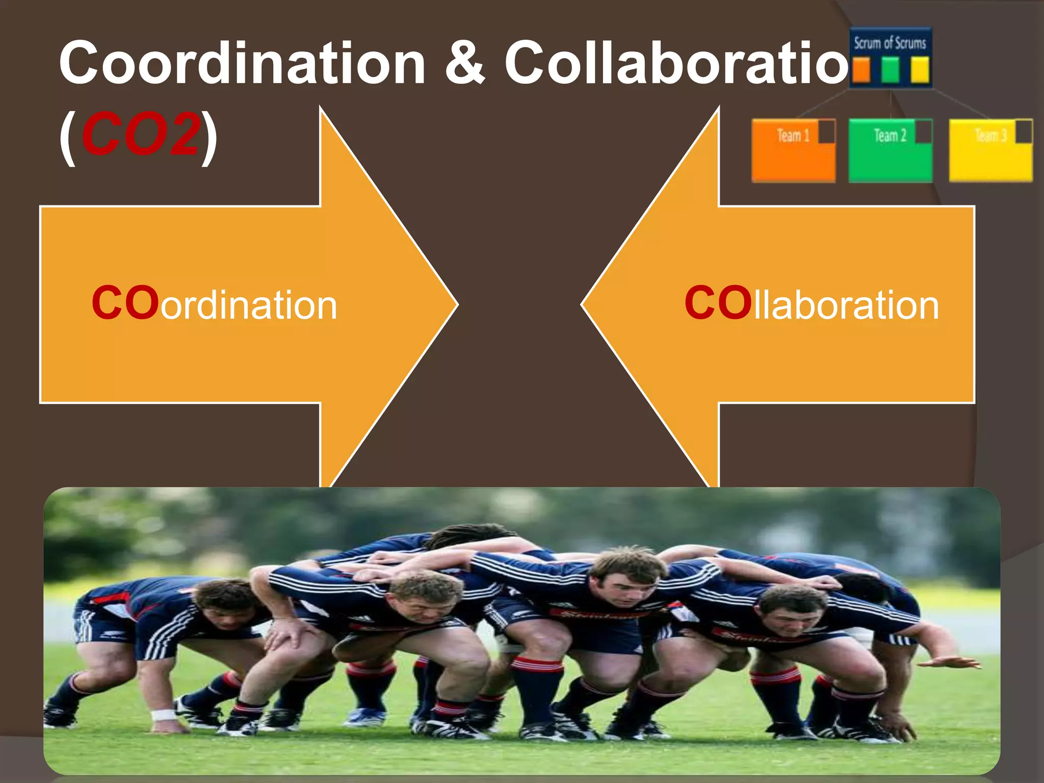 SCRUMming “The Photosynthesis of Agile TREES (SCRUM Teams) for Software ...