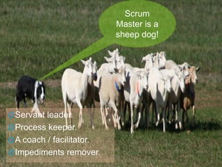 Scrum role introduction – the scrum master | PPTX