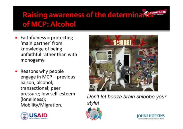 Scrutinise Hsrc Capacity Building Nov 09 | PDF