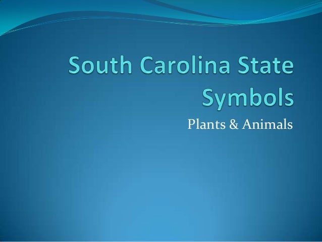 South Carolina State Symbols
