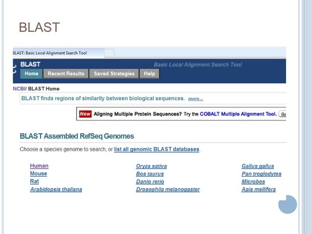 Sequence comparison techniques | PPTX