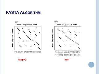 Sequence comparison techniques | PPTX