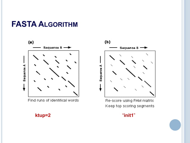 Sequence comparison techniques | PPTX