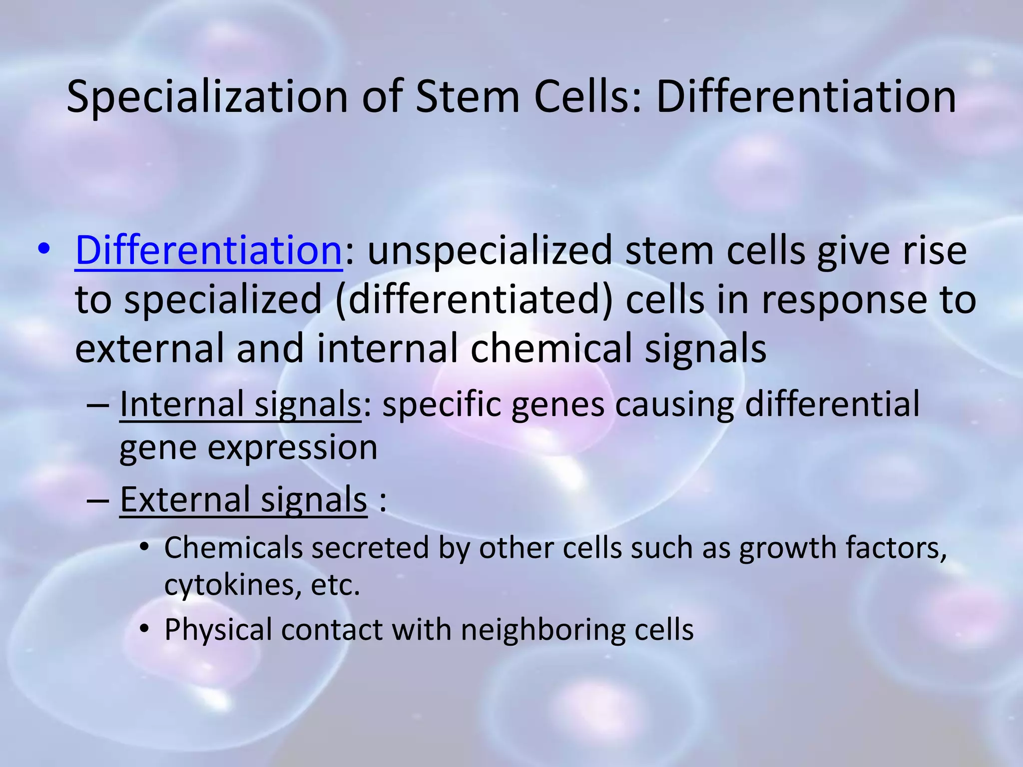 Stem cell therapy | PPTX