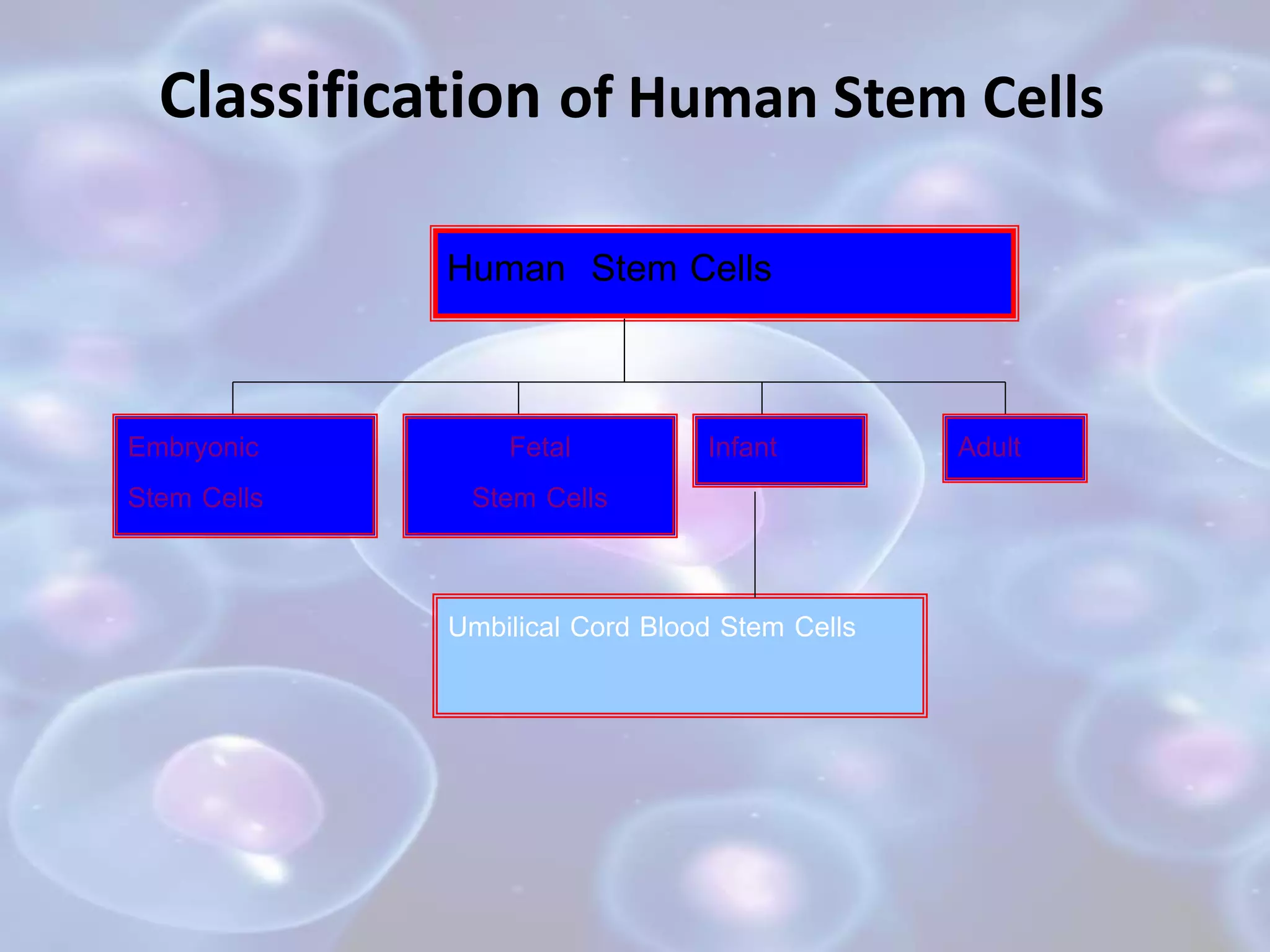 Stem cell therapy | PPTX